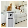 Shark NeverChange Air Purifier Pet Pro - Walmart.com