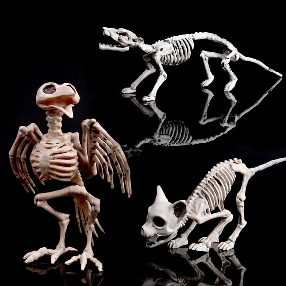 Animal Skeleton Halloween Decorations