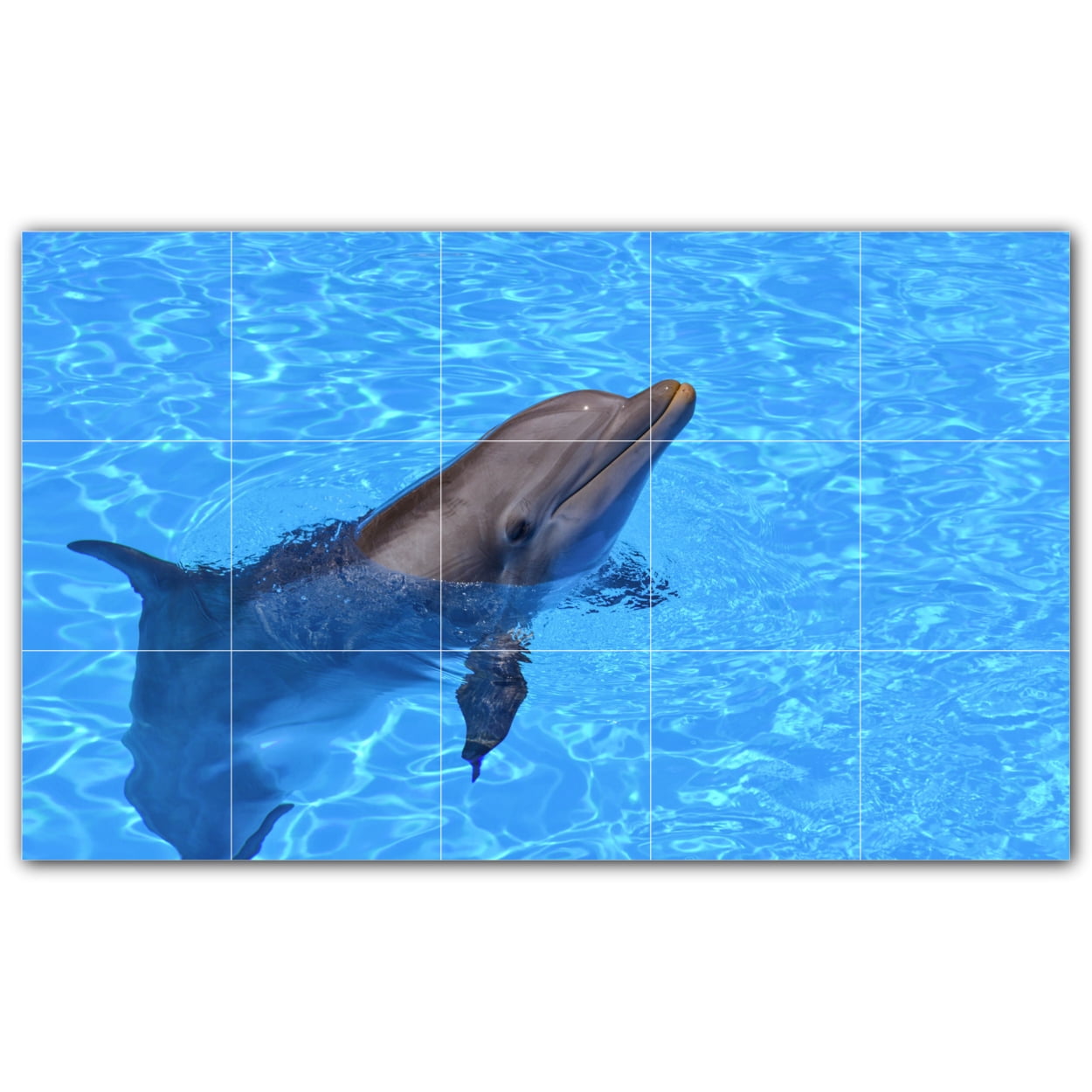 Picture-Tiles.com: Dolphin Ceramic Tile Wall Mural WAL500496-53XL. 60"W ...