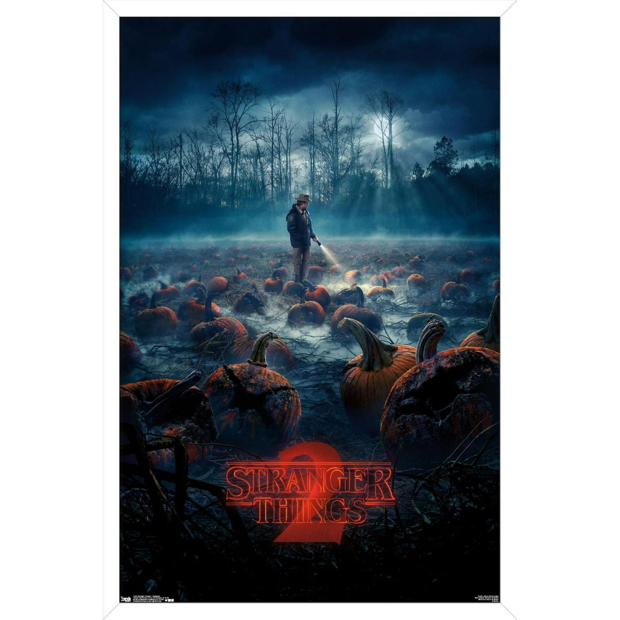 Click here for Trends International Netflix Stranger Things: Seas... prices