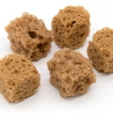 Hello Hobby 5 Pack Synthetic 1" Craft Brown Sponges - Walmart.com