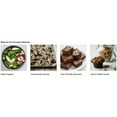 Terrasoul Superfoods Raw Organic Walnuts, 1 Lb - Chandler Variety ...