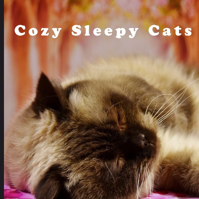 Sleepy Kittens Book