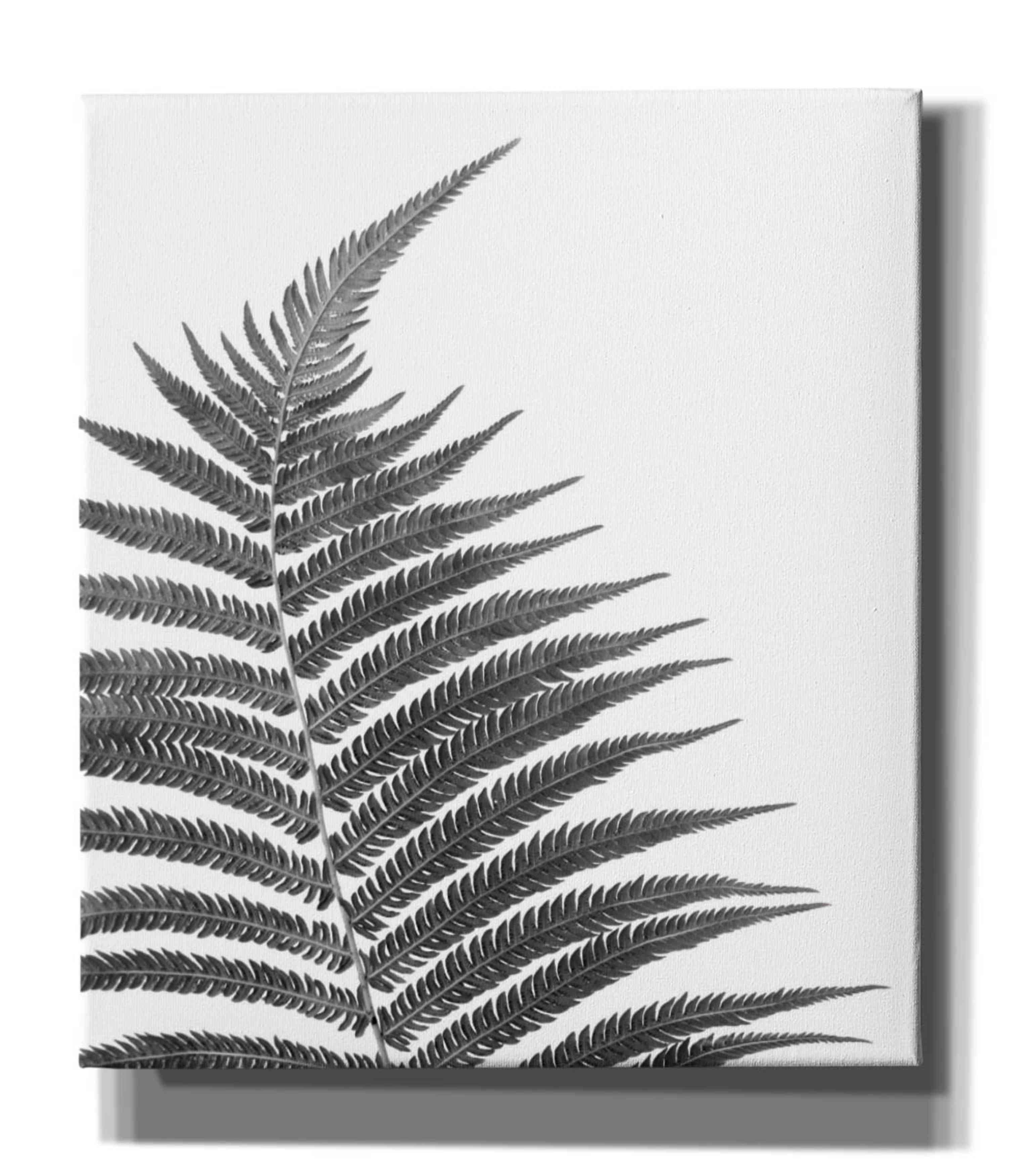 Epic Graffiti 'Truth' by Debra Van Swearingen, Canvas Wall Art, 26"x30 ...