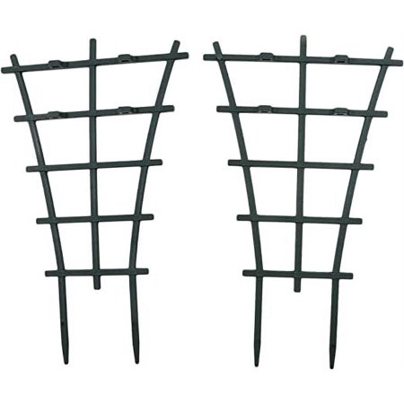 SHAR Plant Support Vine Climbing Pergola Stem Fixed Support Potted ...