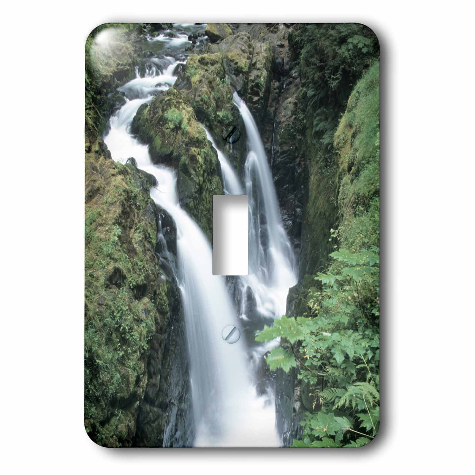 Washington, Olympic NP, Sol duc waterfalls - US48 JME0316 - John and ...