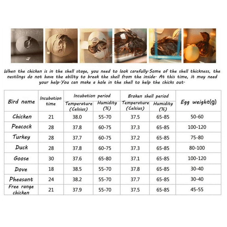 Incubator Humidity Chart For Chickens Egg Number Per Batch, Incubation