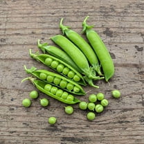 Mr Fothergill's Pepper Sweet Oh Sow Simple Vegetable Seed Easy to Grow ...