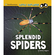 Superworm (Paperback) - Walmart.com