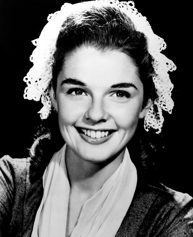 Johnny Tremain Portrait (16 x 20) - Walmart.com - Walmart.com