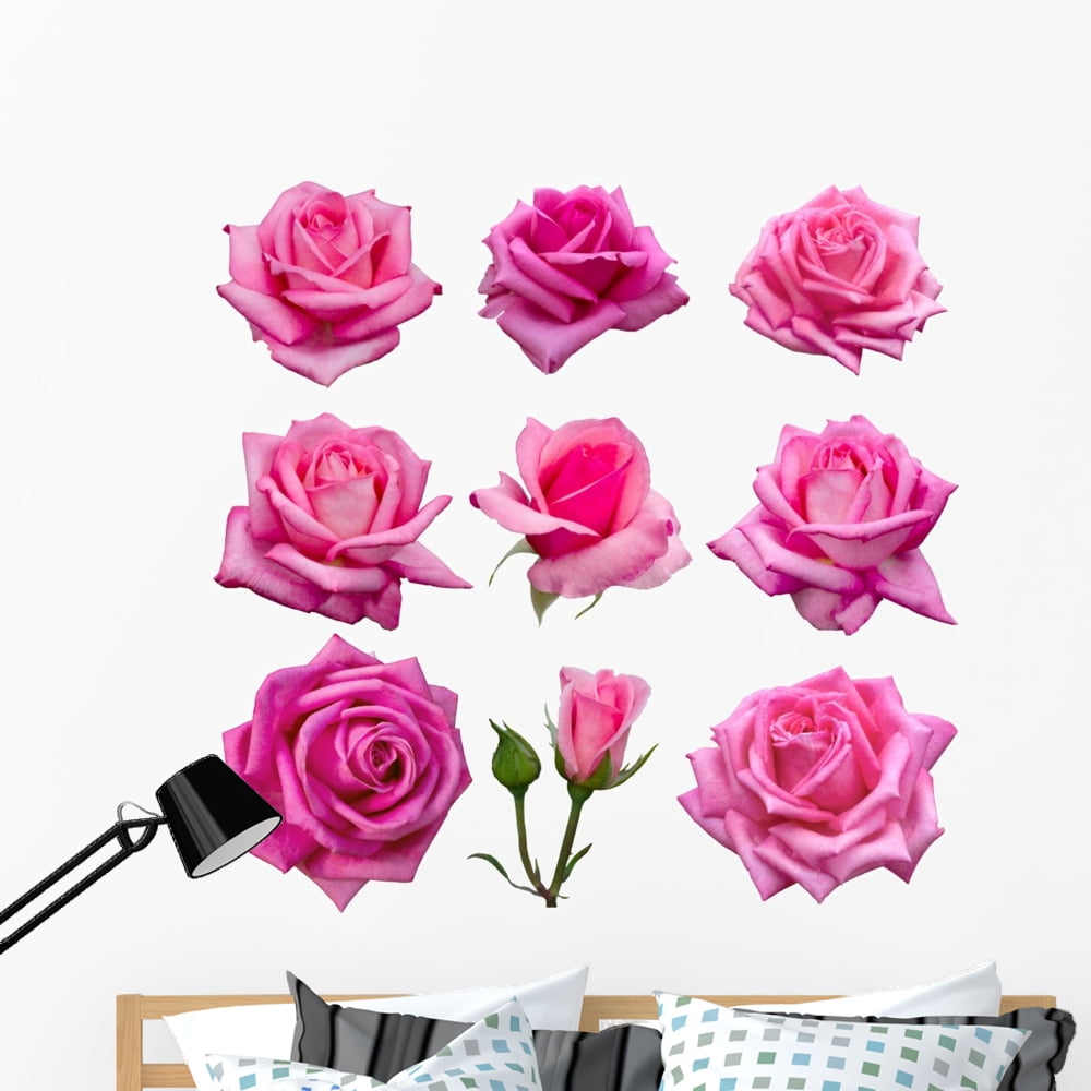 Delicate Pink Roses Wall Decal Sticker Set Wallmonkeys Individual Peel ...