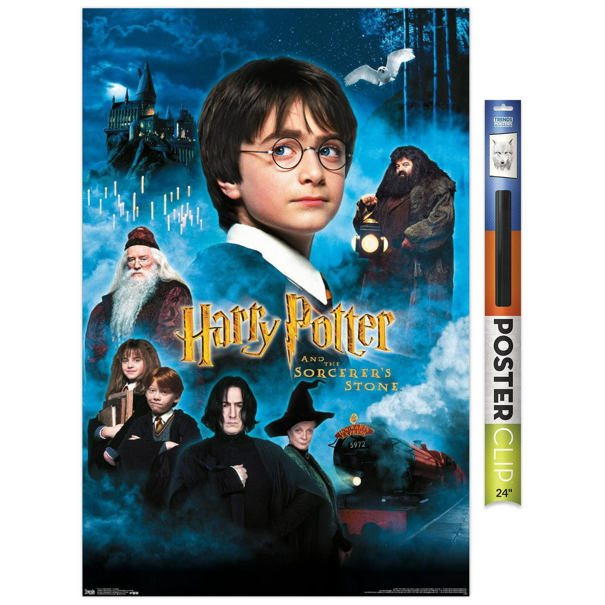 Click here for Trends International Harry Potter And The Sorcerer... prices