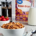 Great Value Raisin Bran Breakfast Cereal, 18.7 oz - Walmart.com