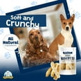 Yeti Biscotti Crunchy Himalayan Yak Cheese Dog Treats, 4 Pieces for All ...