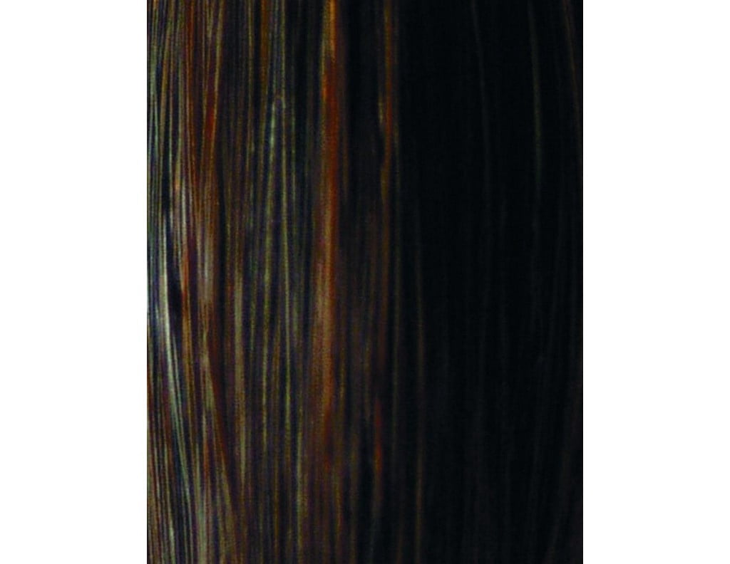 Professionals Choice Hunter Tail No Knob 1 Pound Naturally Tapered T6 ...
