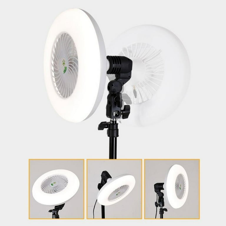 Hidden Cameras In Ceiling Fans | Shelly Lighting