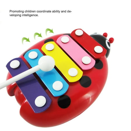 Xylophone Keyboard Percussion Musical Instrument Educational Rhythm ...