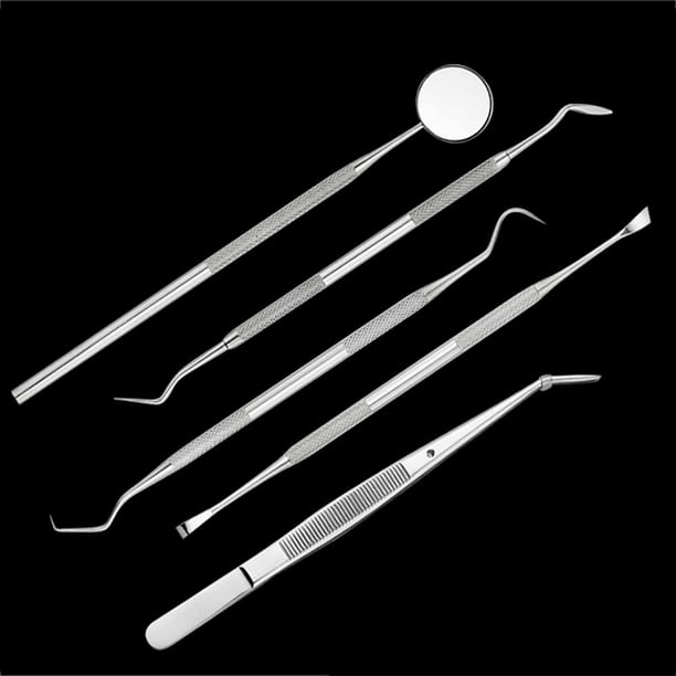 Dental Tooth Cleaning Kit Dentist Scraper Pick Tool Calculus Plaque ...