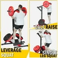 Syedee Leverage Squat/Calf Machine, Leg Exercise Machine with 550 lbs ...