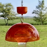 Songbird Essentials Ant Moat for Hummingbird Feeders Nectar Protector ...