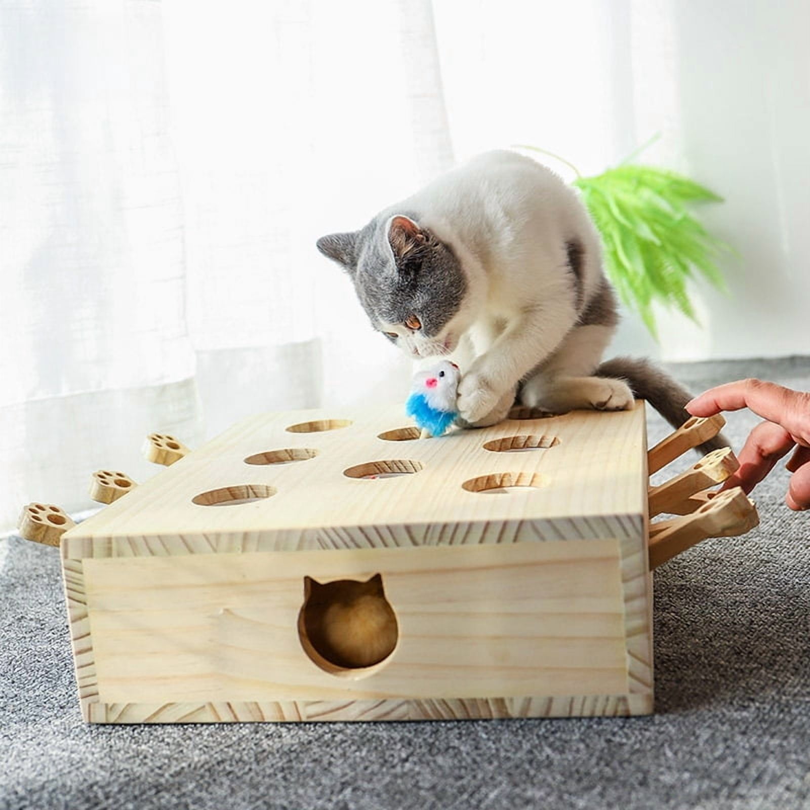 Click here for Unbranded Interactive Solid Wood Cat Toy With Real... prices