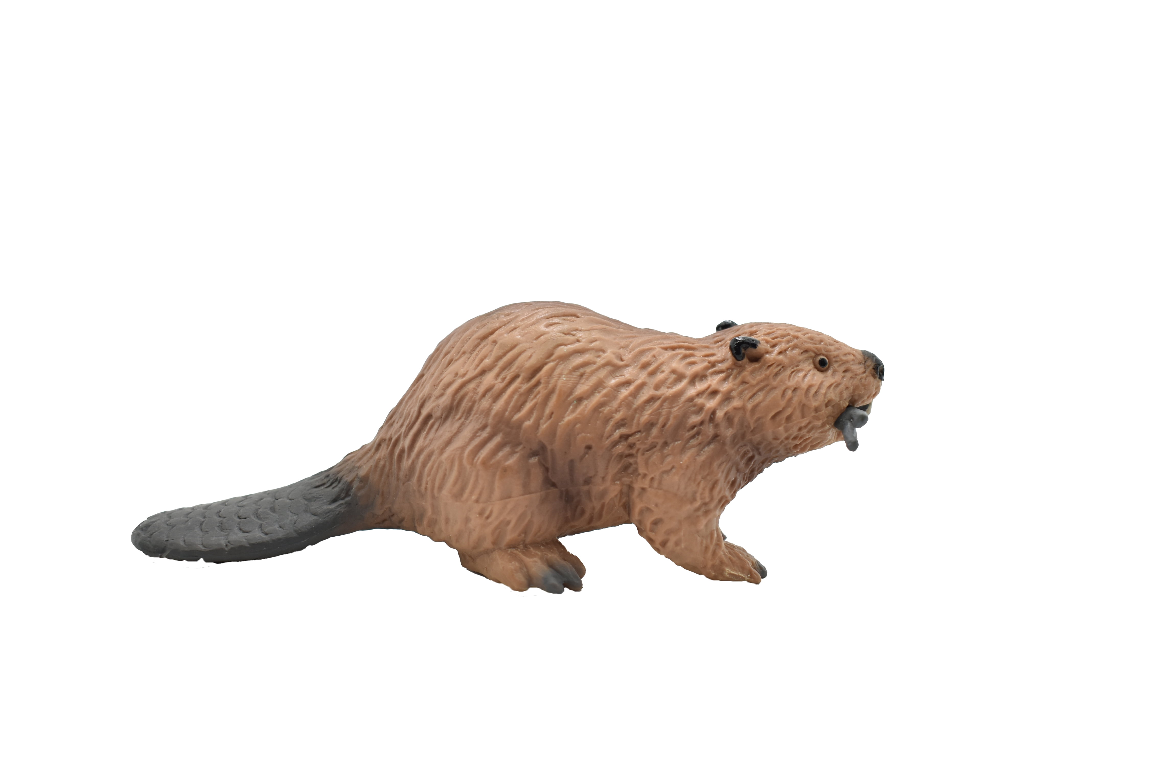 Beaver, Castor, Very Nice Plastic Animal, Educational, Toy, Kids ...