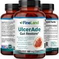 Fineland Ulcer Ade Digestive Relief 60 Capsules - Walmart.com