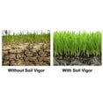 Soil Vigor, Potassium Super Absorbent Polymer, Water Storing Crystals ...