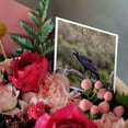 3drose, Thick-billed Raven Bird in the Highlands of Ethiopia - Af16 ...
