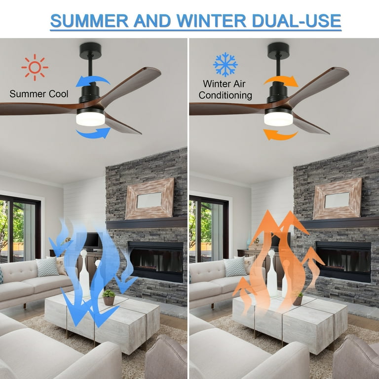 Dual Motor Outdoor Ceiling Fans | Shelly Lighting