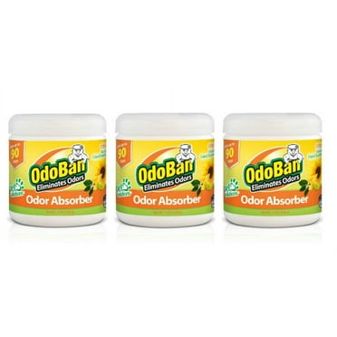 OdoBan Solid Odor Absorber for Home and Small Spaces, Citrus Scent, 14 ...