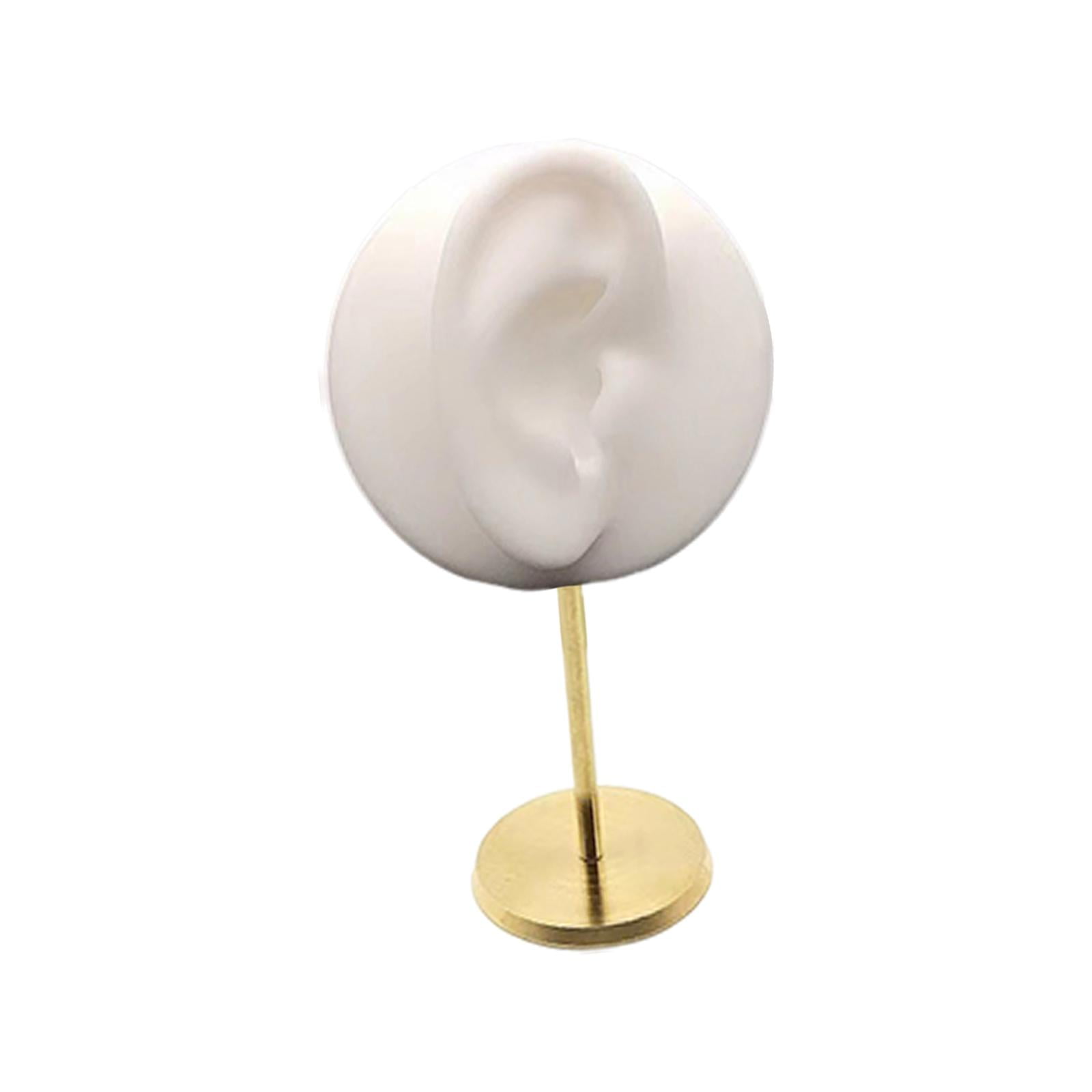 Ear Model Earring Display Stand, Earring Display Stands, Mannequin ...
