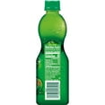ReaLime 100% Pure Lime Juice Concentrate, 15 fl oz bottle - Walmart.com