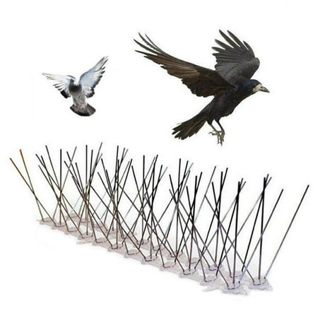 kurtrusly 12x Wall Spike Anti-Bird Pigeon Repeller Deterrent Window ...