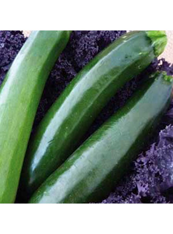 Squash Seeds in Seed Gardening - Walmart.com