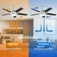 DEXTRUS 52in Modern Ceiling Fan with Light, Quiet Reversible Motor ...