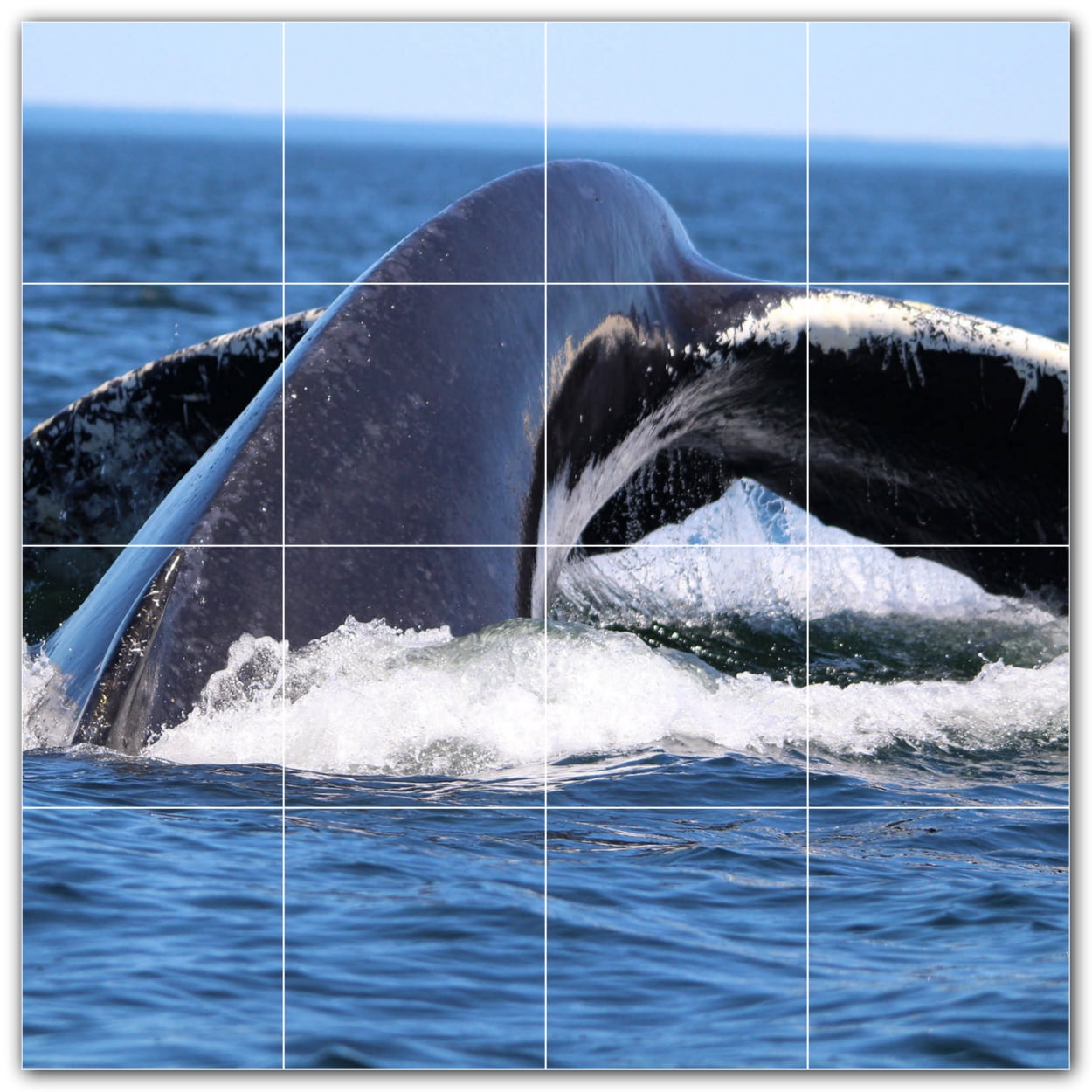 Picture-Tiles.com: Whale Ceramic Tile Wall Mural WAL501184-44M. 24"W x ...