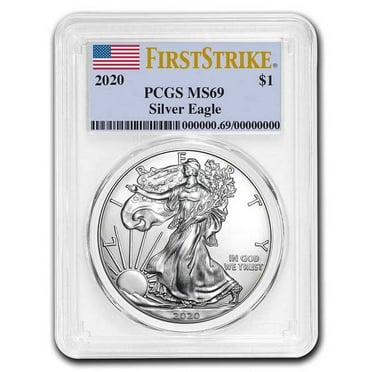 2013 (S) American Silver Eagle MS-69 NGC (Early Releases) - Walmart.com