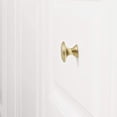 Button Mushroom Cabinet Knob, 1.25-inch Diameter, Golden Champagne, 10 ...