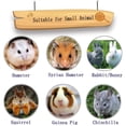 15 Pcs Rabbits Lava Blocks Bunny Teeth Grinding Stone Small Animal ...