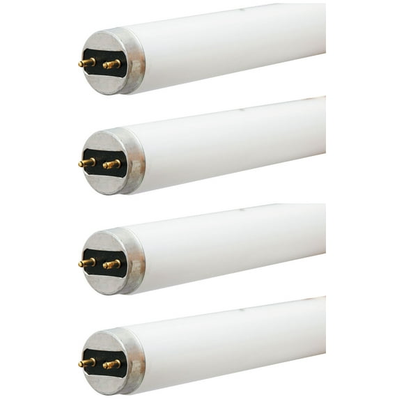 T8 Fluorescent Light Bulbs