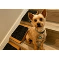 Stair Assist for Dogs, Eco-Friendly, Indoor/Outdoor - Strong Durable ...