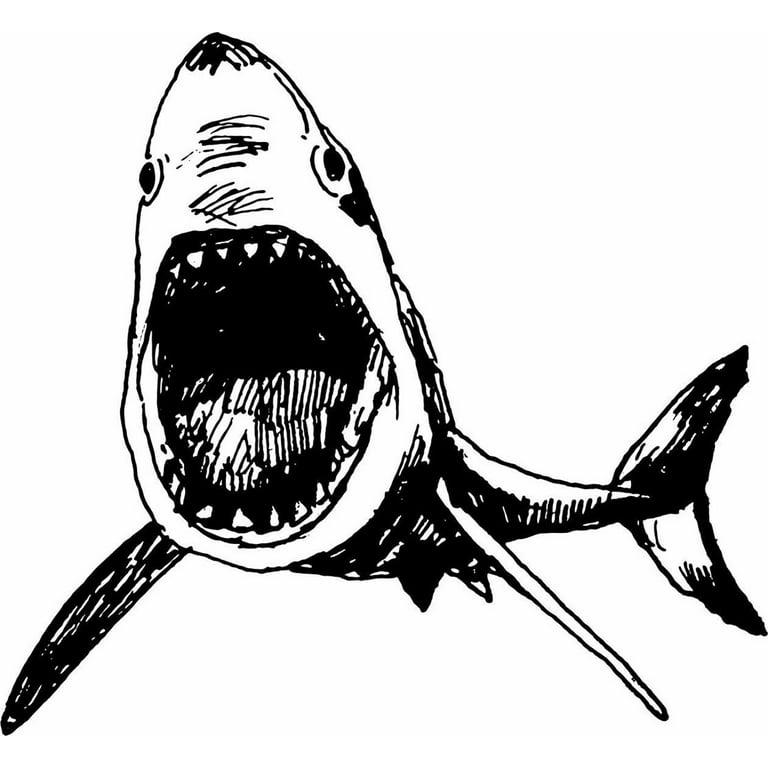 Open Shark Mouth Drawing