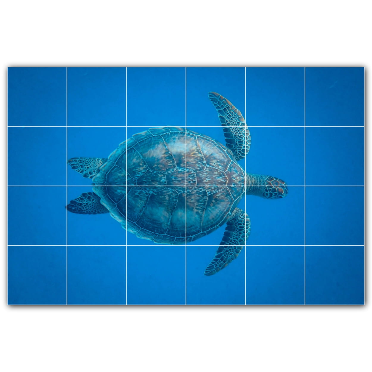 Picture-Tiles.com: Turtle Ceramic Tile Wall Mural WAL501067-64L. 48"W x ...