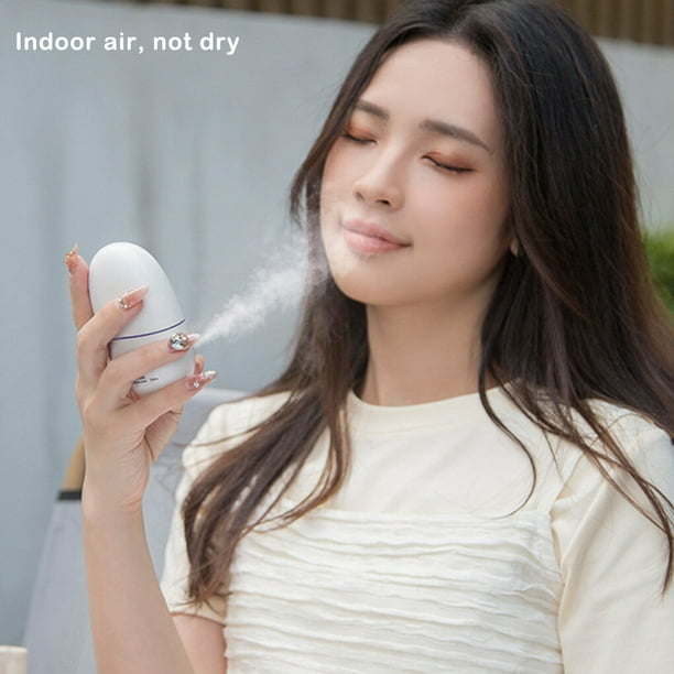 tredstone Mini Facial Humidifier Mist Sprayer Skin Hydration Face ...