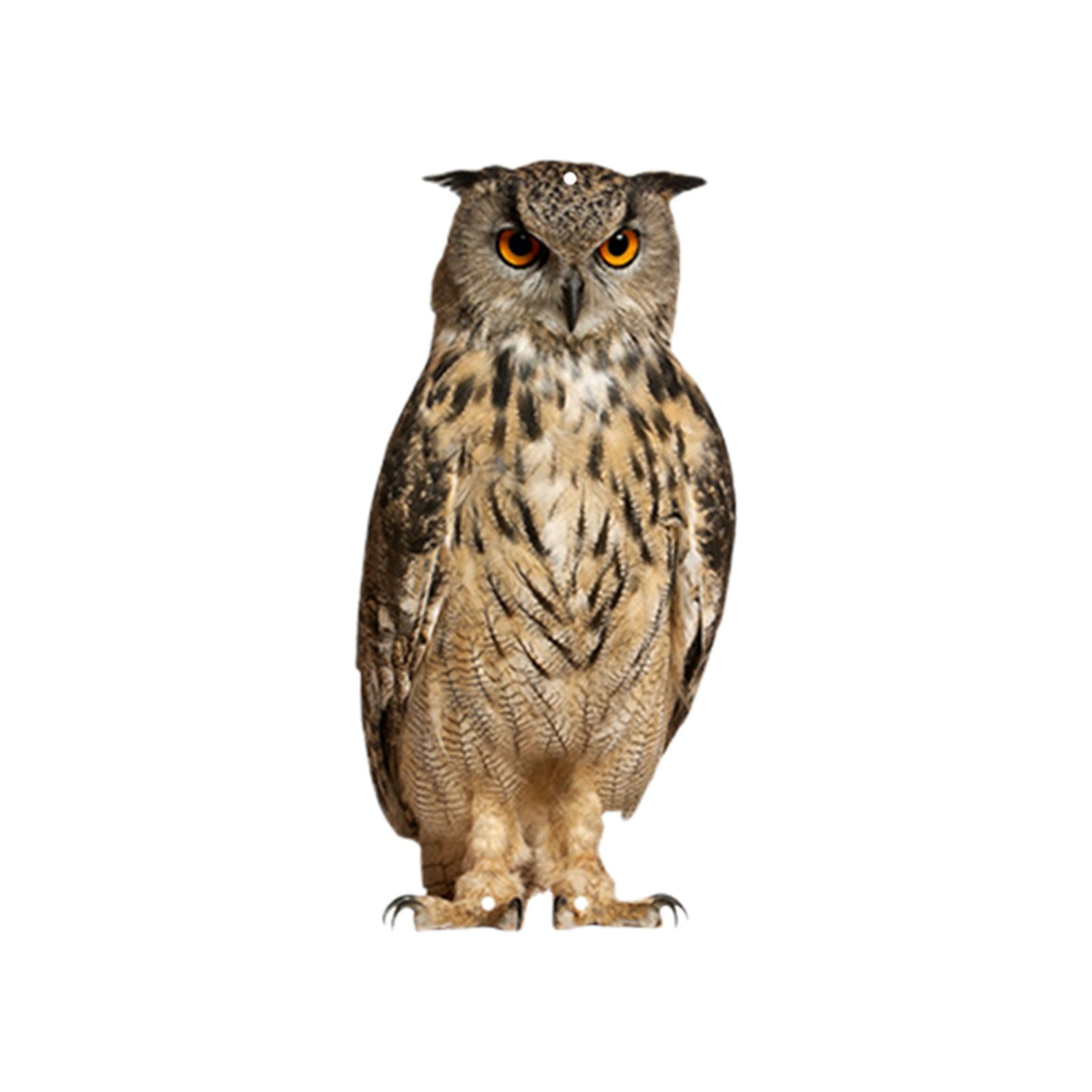 Click here for Zhenhongyql Dorugage Owl Bird Scare Flat Scarers W... prices