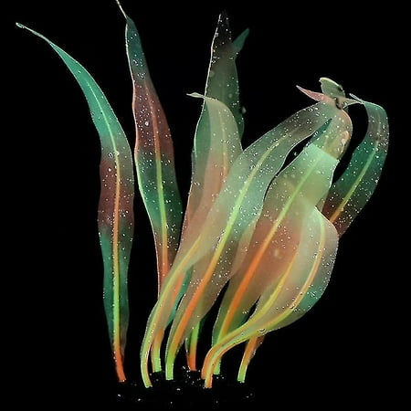 HEFEI，Aquarium Artificial Kelp Glow Under Light Colorful Seaweed Fish ...