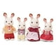Calico Critters Hopscotch Rabbit Family, Set of 4 Collectible Doll ...