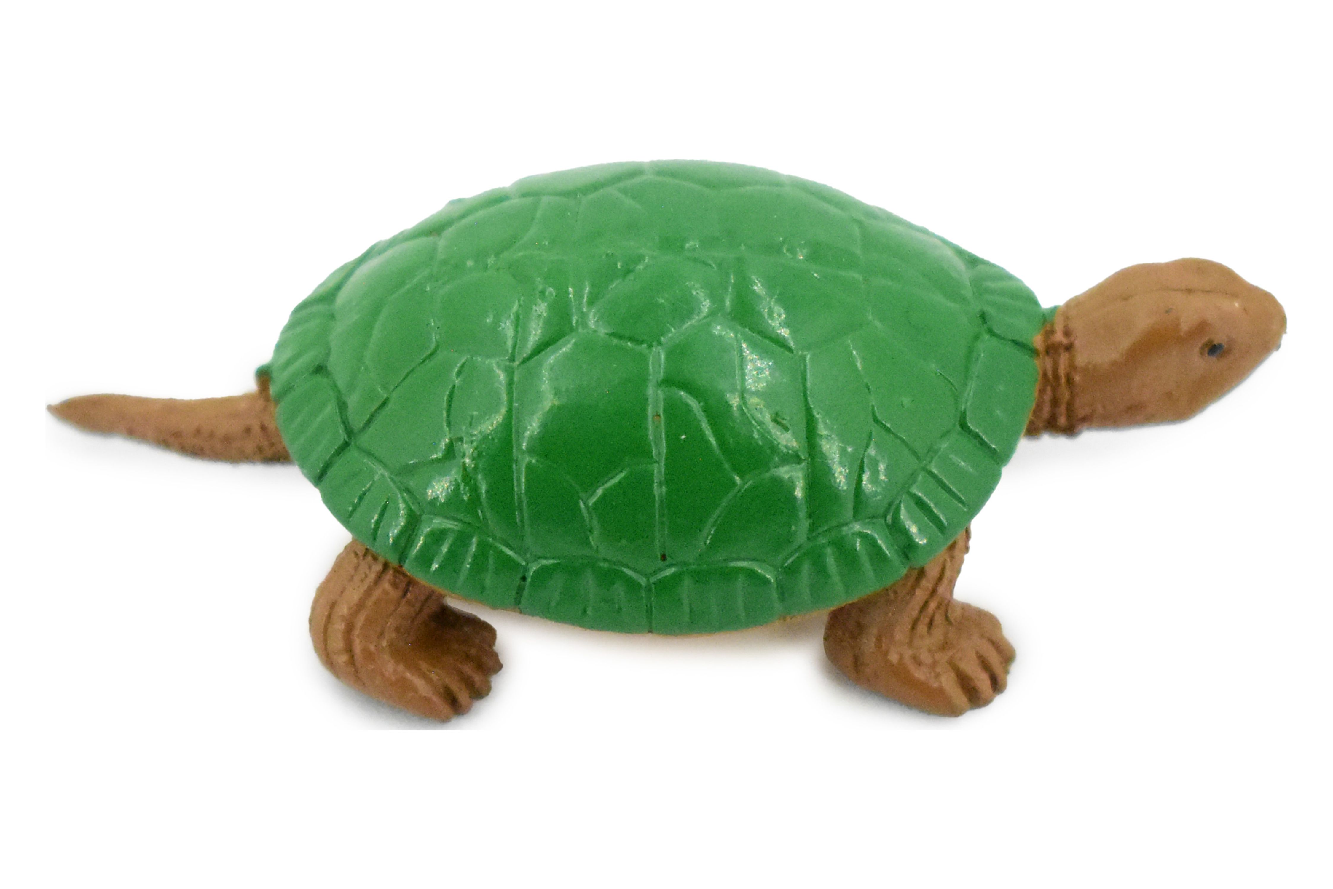 Turtle, Box Turtle, Pond Turtle, Plastic Reptile, Educational ...