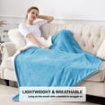 IR Imperial Rooms Sherpa Blanket and Throw Fluffy, Soft, Bed Blanket ...